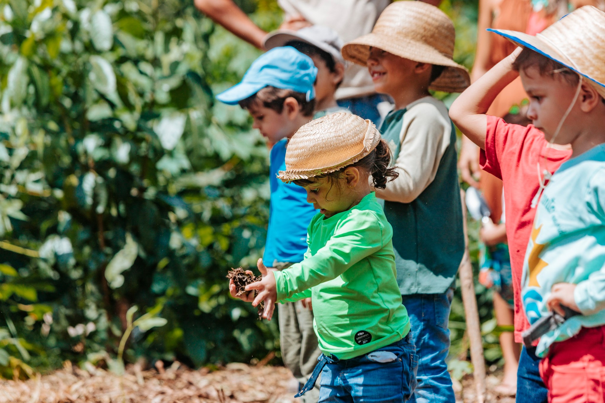 Instituto Sol Central